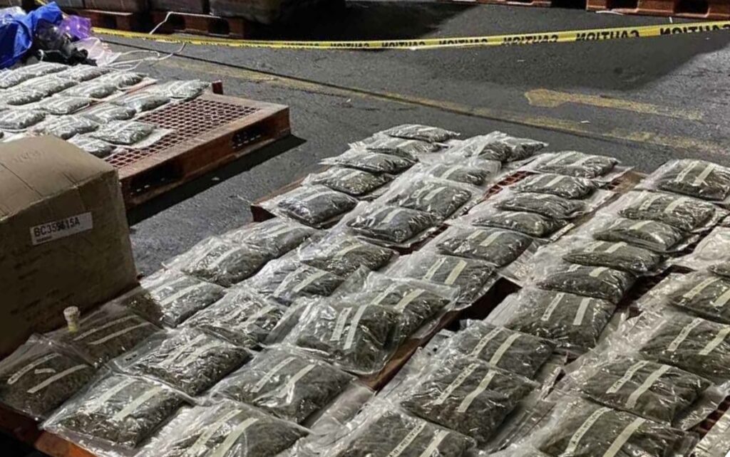 BOC, PDEA seized P39 million ‘Kush MJ’ from Canada – Pinoy Exposé